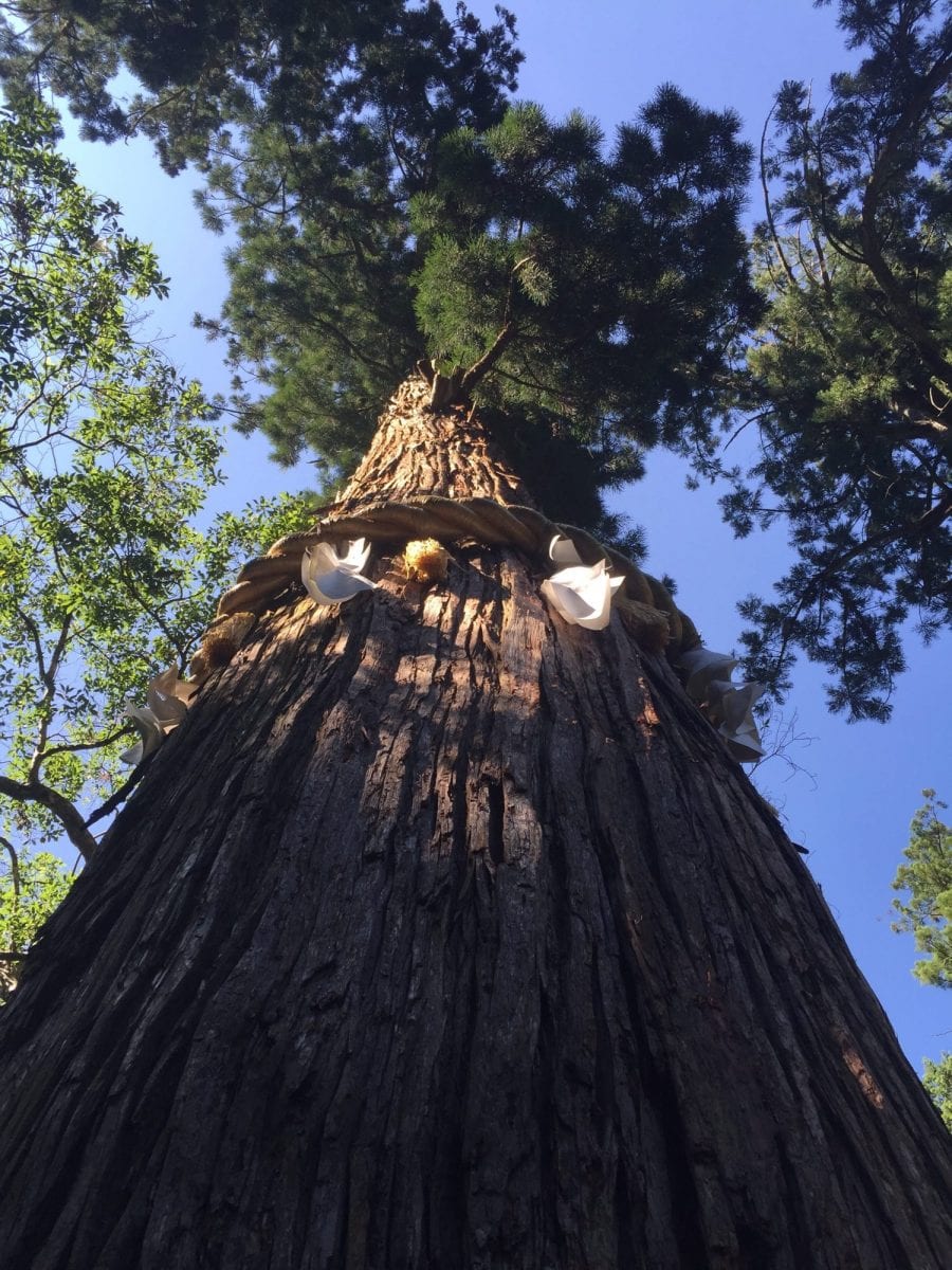 The best tips for Kyoto - according to me » Omakase